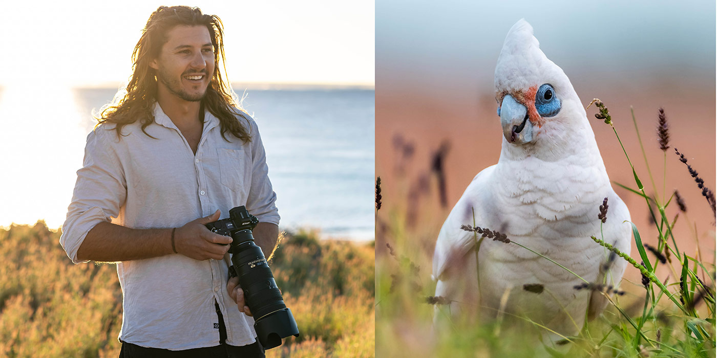 Limited Edition Cruises - Scenic